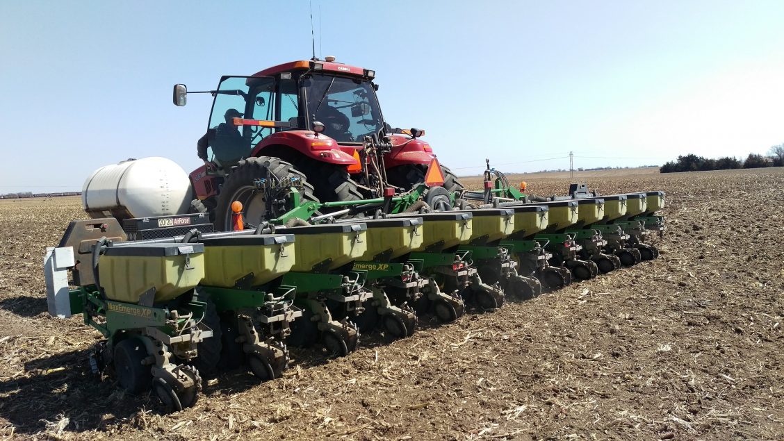 Soybean Farming: Planting, Growing & Harvesting - Farming Pedia