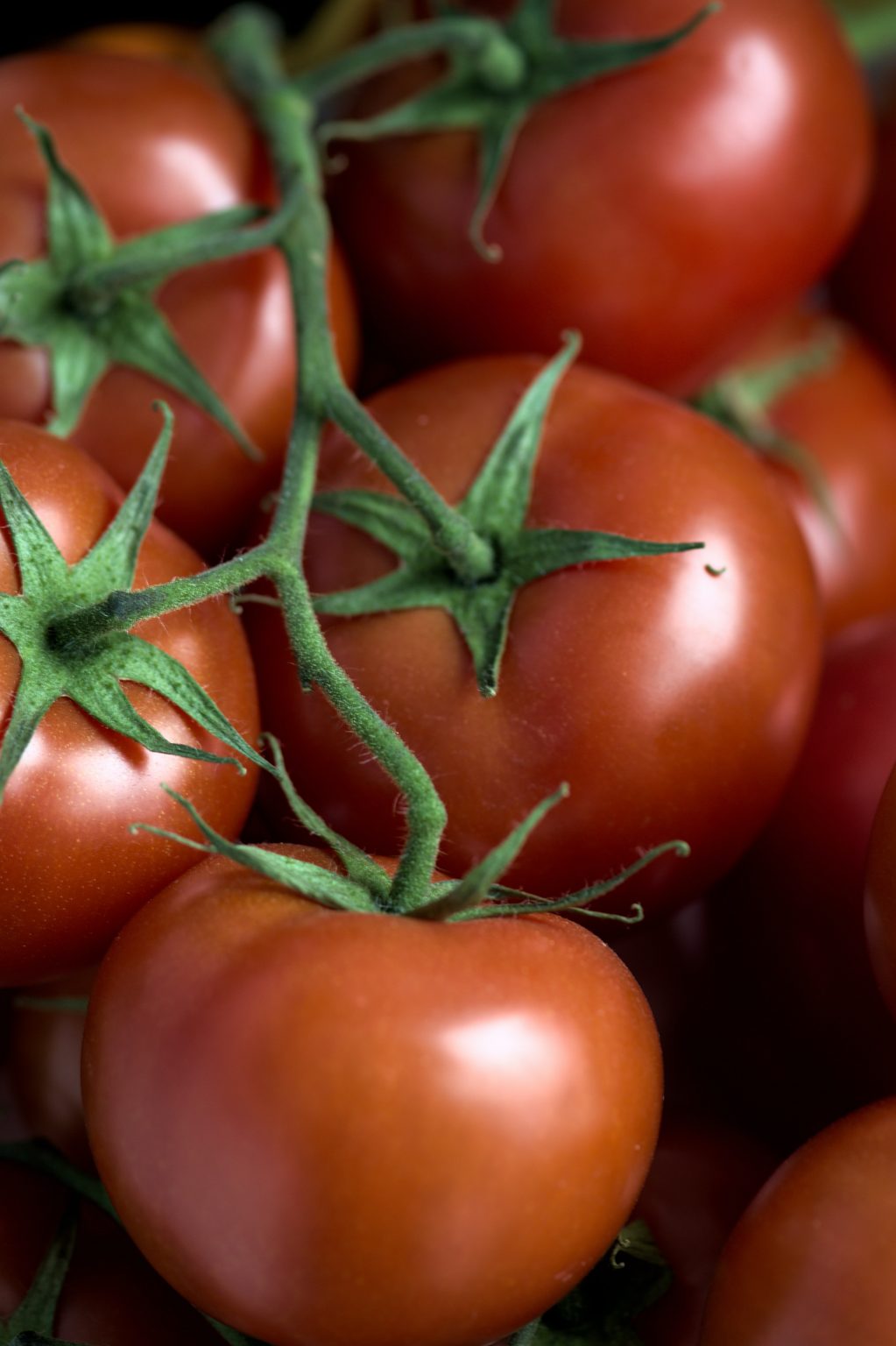 11 Best Tomato Varieties for Hanging Baskets - Farming Pedia