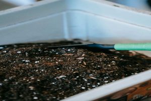 Compostable vs. Non-Compostable: Understanding the Difference - Farming ...